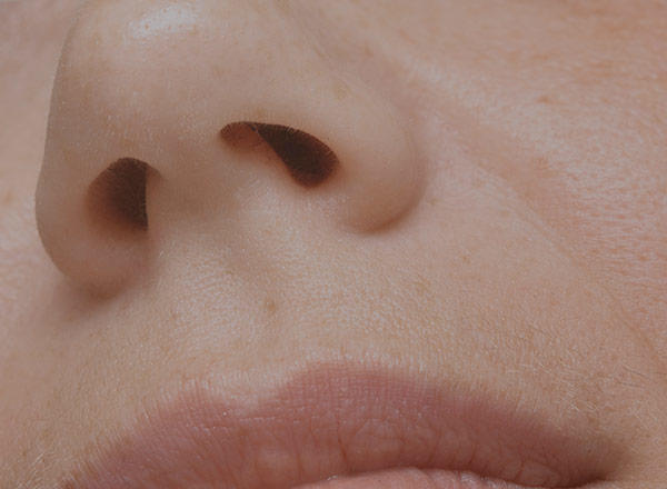 Dynamic olfactometry | LOD