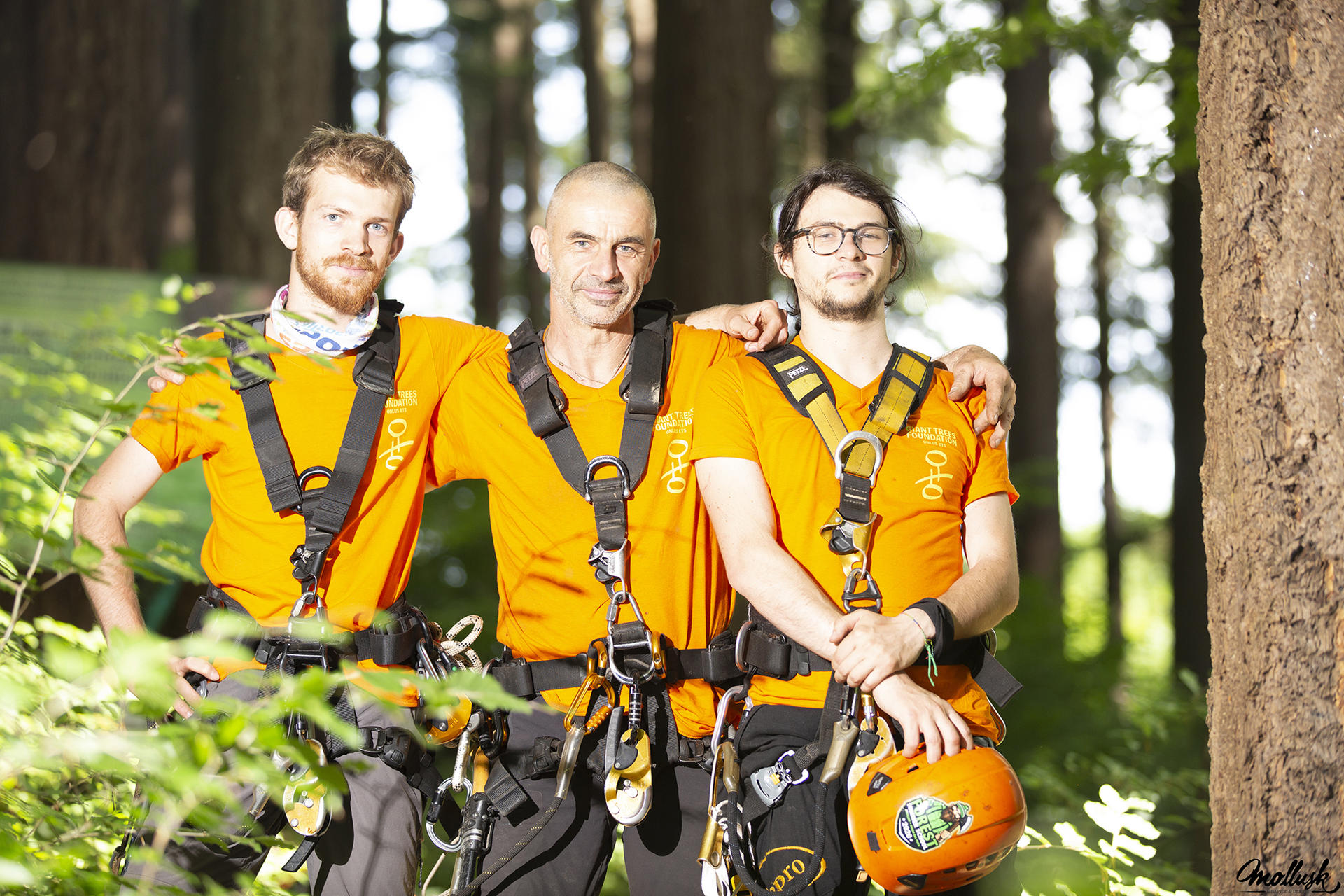 L'albero di Dima... | Giant Trees Foundation